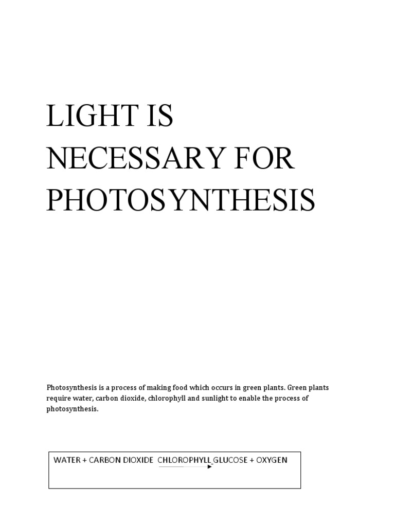 Light's Role in Photosynthesis Explained | PDF | Science & Mathematics