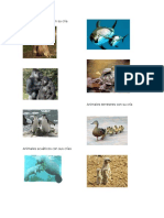 Cuento de Tinkerbell | PDF | Novela negra, policíaca y suspenso