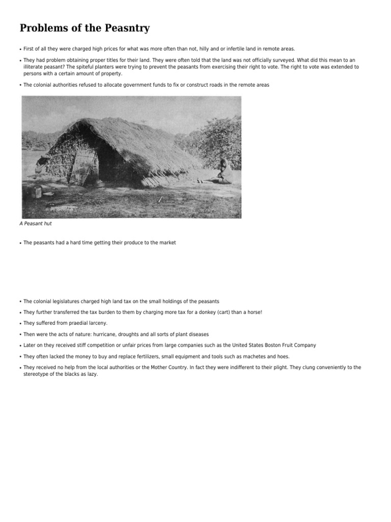 Challenges Faced by Peasants | PDF
