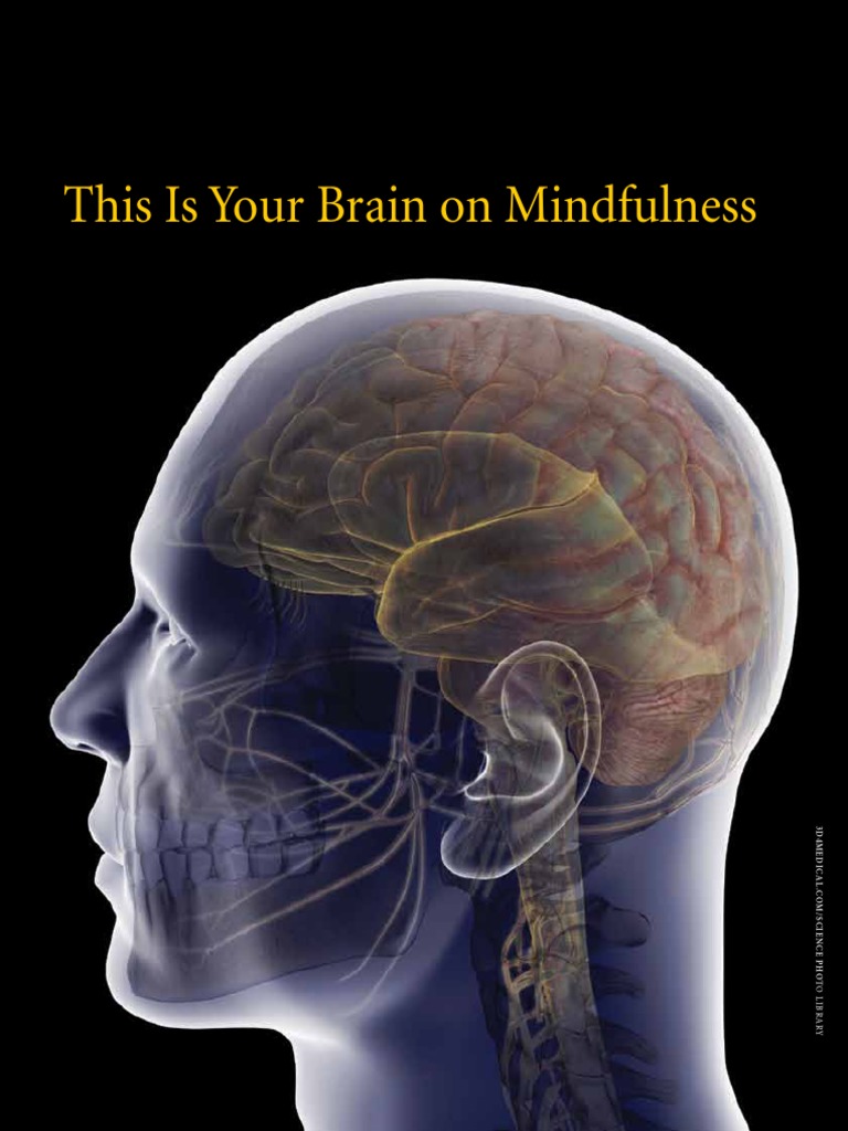 Brain Imaging - Meditation Research | Meditation | Mindfulness