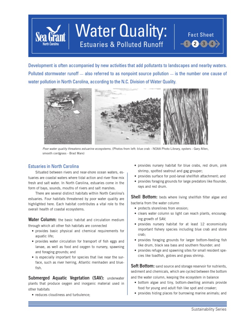 Sea Grant Fact Sheet | PDF | Estuary | Surface Runoff