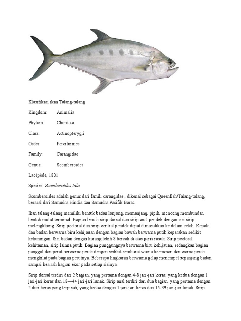 Klasifikasi Ikan Talang | PDF