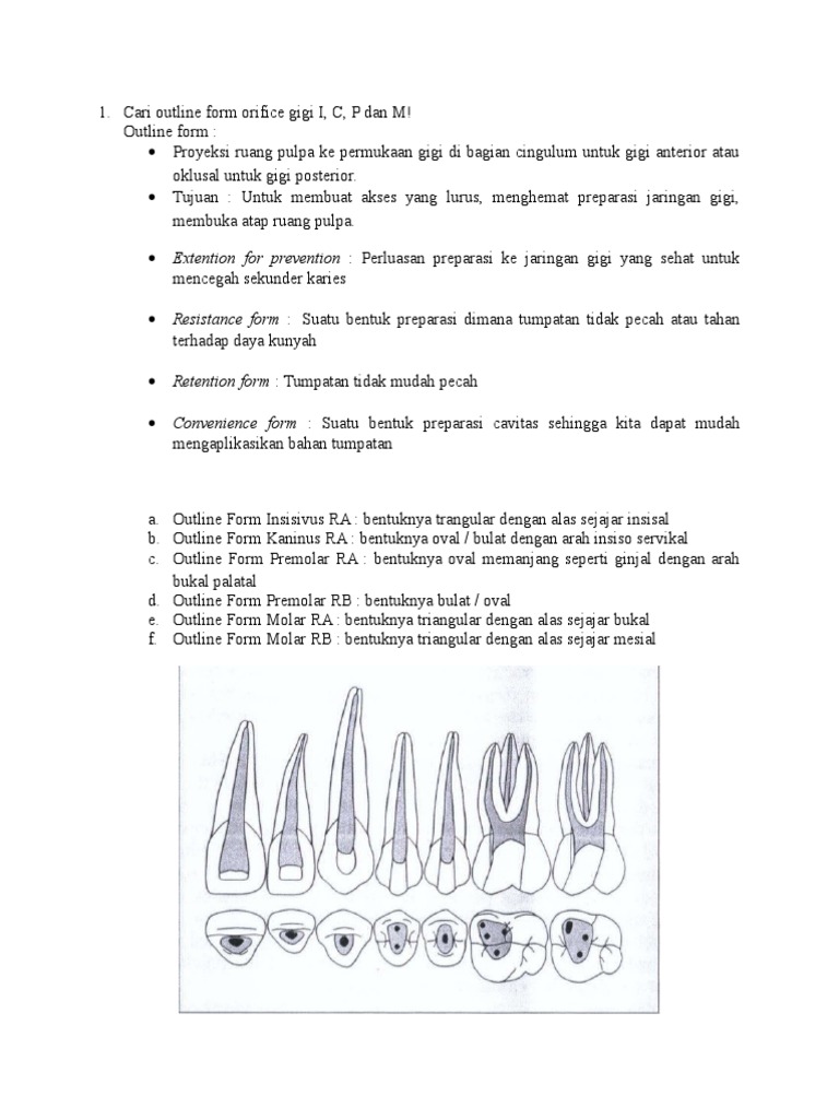 Outline Form Orifice Gigi I | PDF