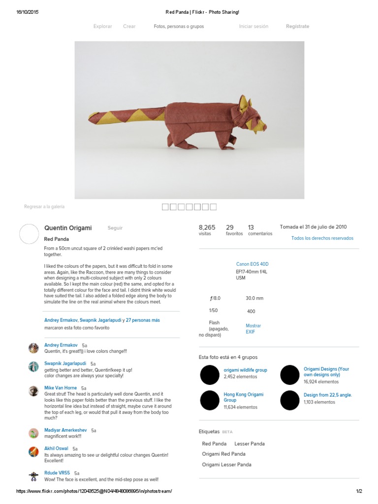 Origami Red Panda Photo Showcase | PDF | Origami | Paper Folding