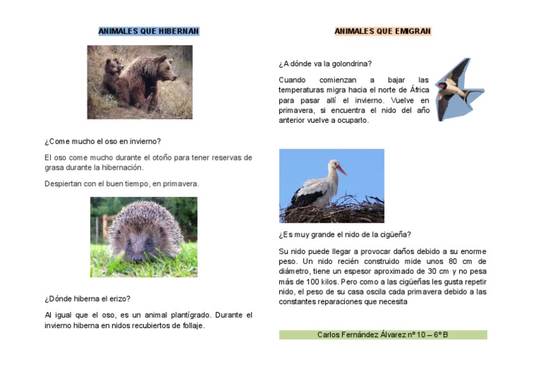 Animales Que Hibernan | PDF | Poesía