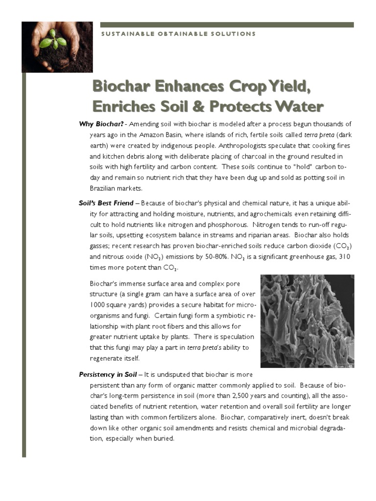 Benefits of Biochar in Soil Health | PDF | Fertilizer | Soil Fertility