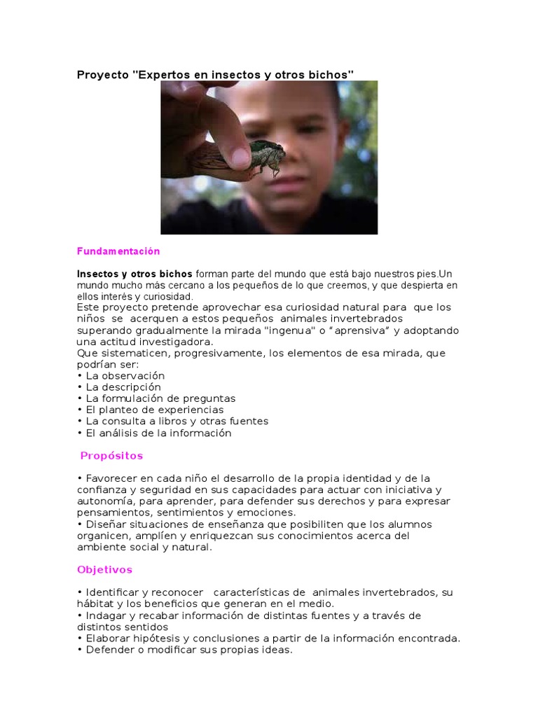 Proyecto Insectos | PDF | Insectos | Información