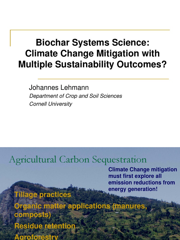 Biochar Systems Science: Climate Change Mitigation With Multiple ...
