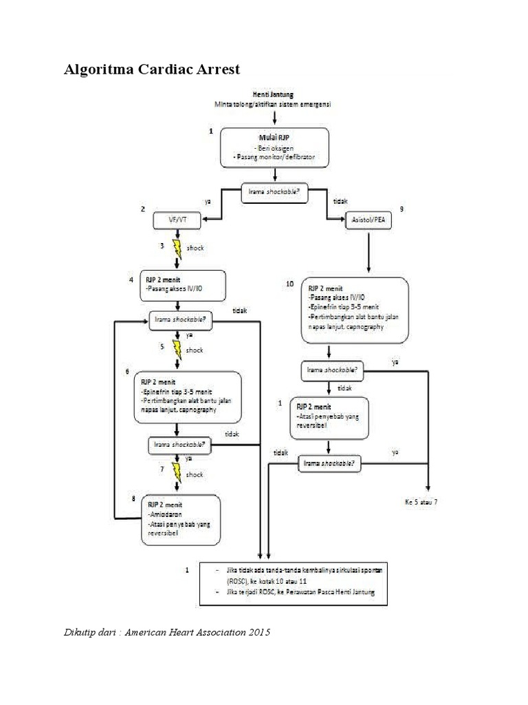 Izar Azwar (1407101030140) Algoritma Acls, Takikardi, Dan Bradikardi | PDF