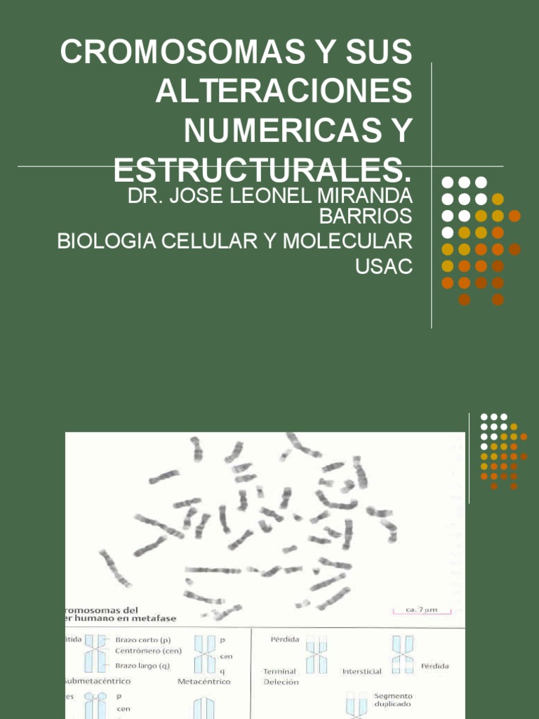 Cromosomas y Sus Alteraciones Numericas y Estructurales | PDF | Mutación | Trastorno genético