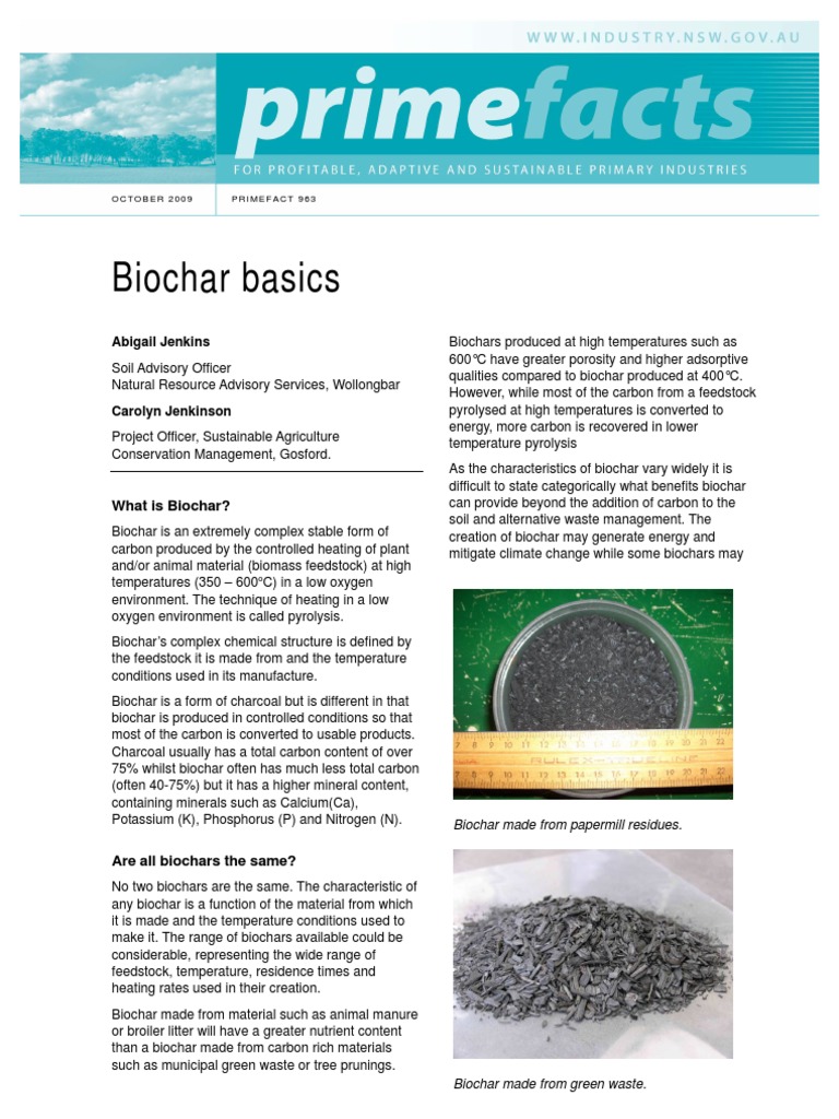 Biochar Basics | PDF | Pyrolysis | Soil