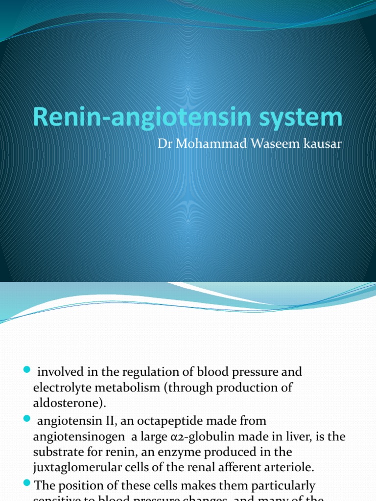 Renin-Angiotensin System Overview | PDF