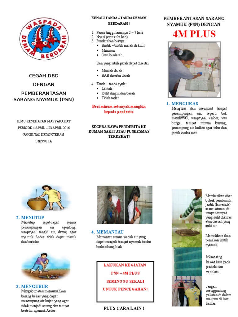 Leaflet PSN (Pemberatasan Sarang Nyamuk) DBD (Demam Berdarah Dengue) | PDF