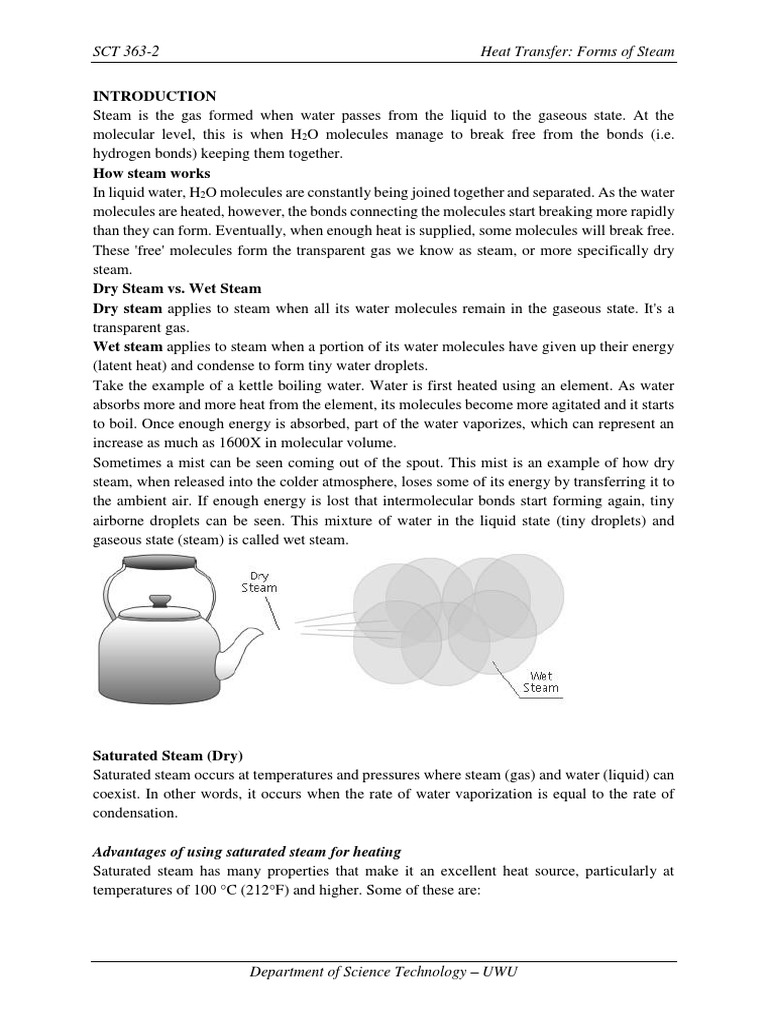1 - Form of Steam | PDF | Heat Transfer | Steam