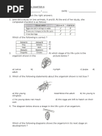 3rd Grade - Food Chain Worksheet | PDF