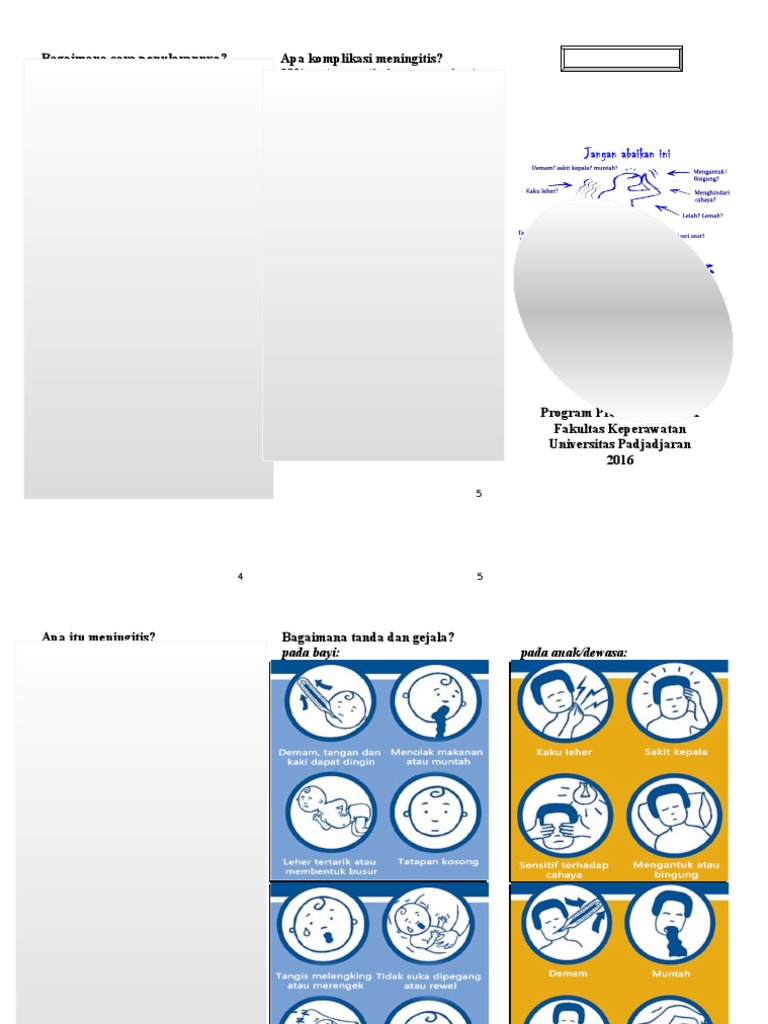 Leaflet Meningitis | PDF