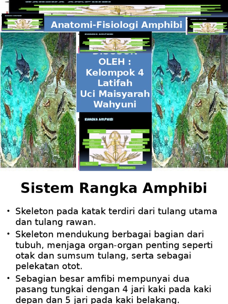 Anatomi Fisiologi Amphibi | PDF