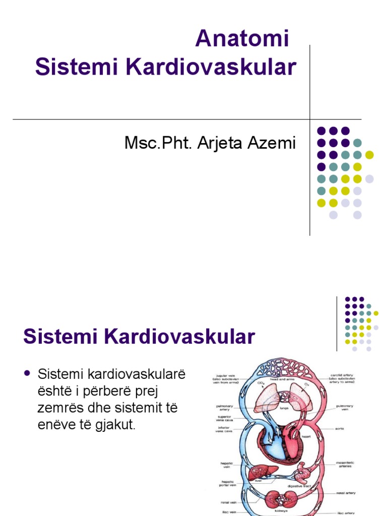 Sistemi Kardiovaskular | PDF
