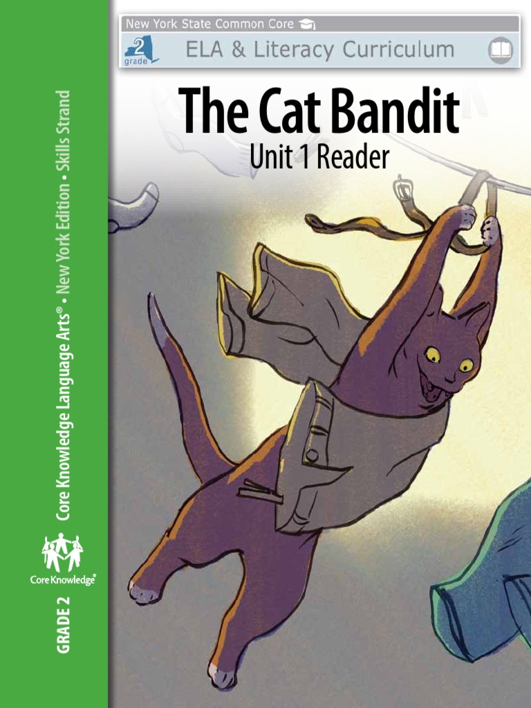 The Cat Bandit: Unit 1 Reader | PDF