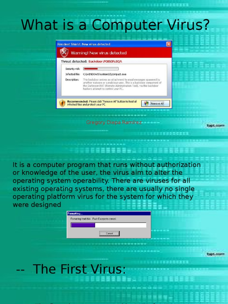 What Is A Computer Virus | PDF | Games & Activities | Computers