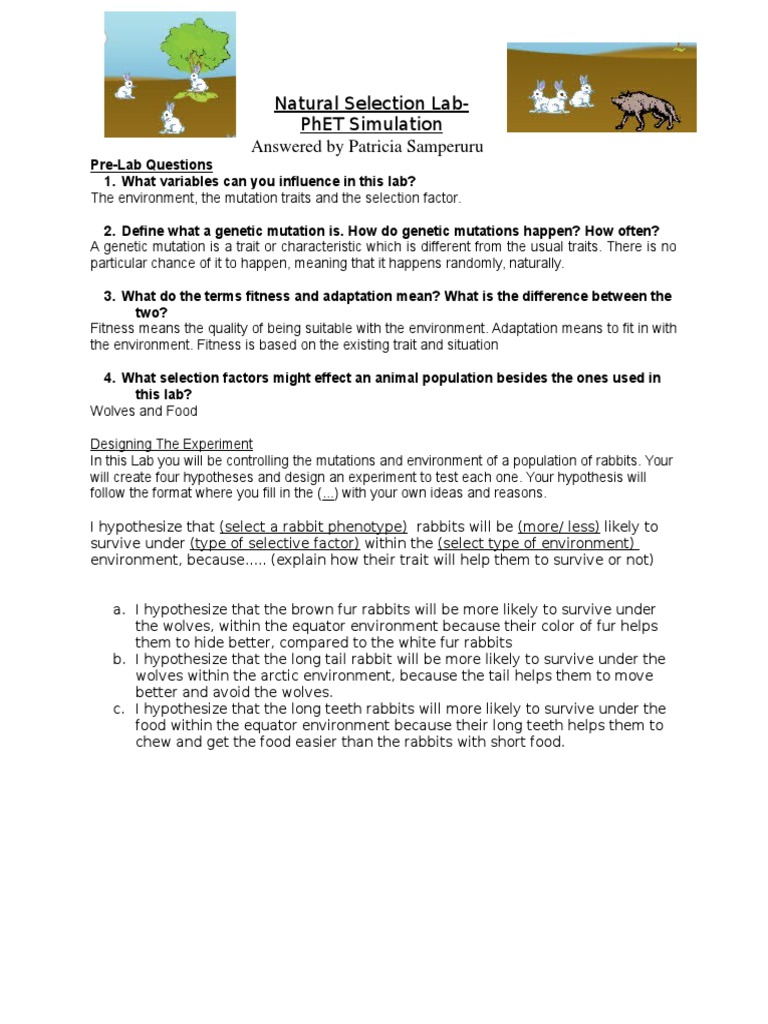 Natural Selection Lab-Phet Simulation Answered by Patricia Samperuru ...