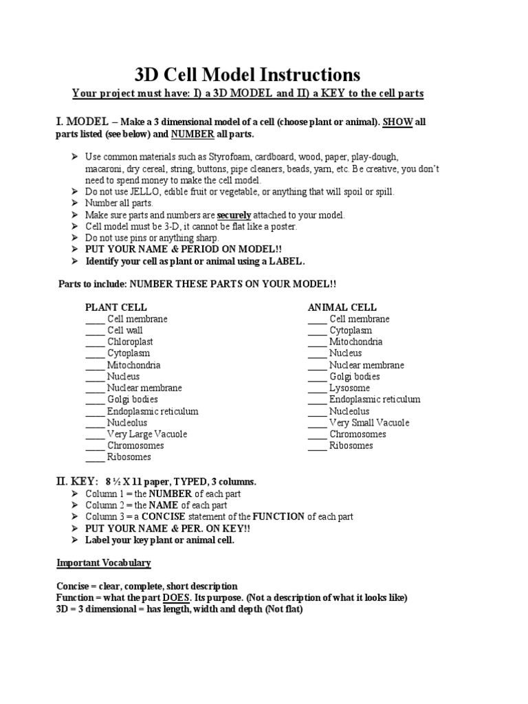 3d Cell Model Project Rubric