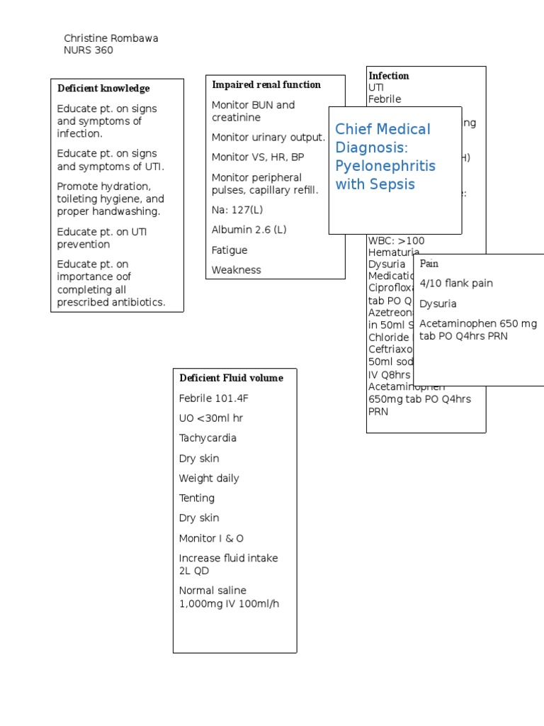 NURS360 Pyelonephritis Care Map | PDF | Urinary Tract Infection | Renal ...