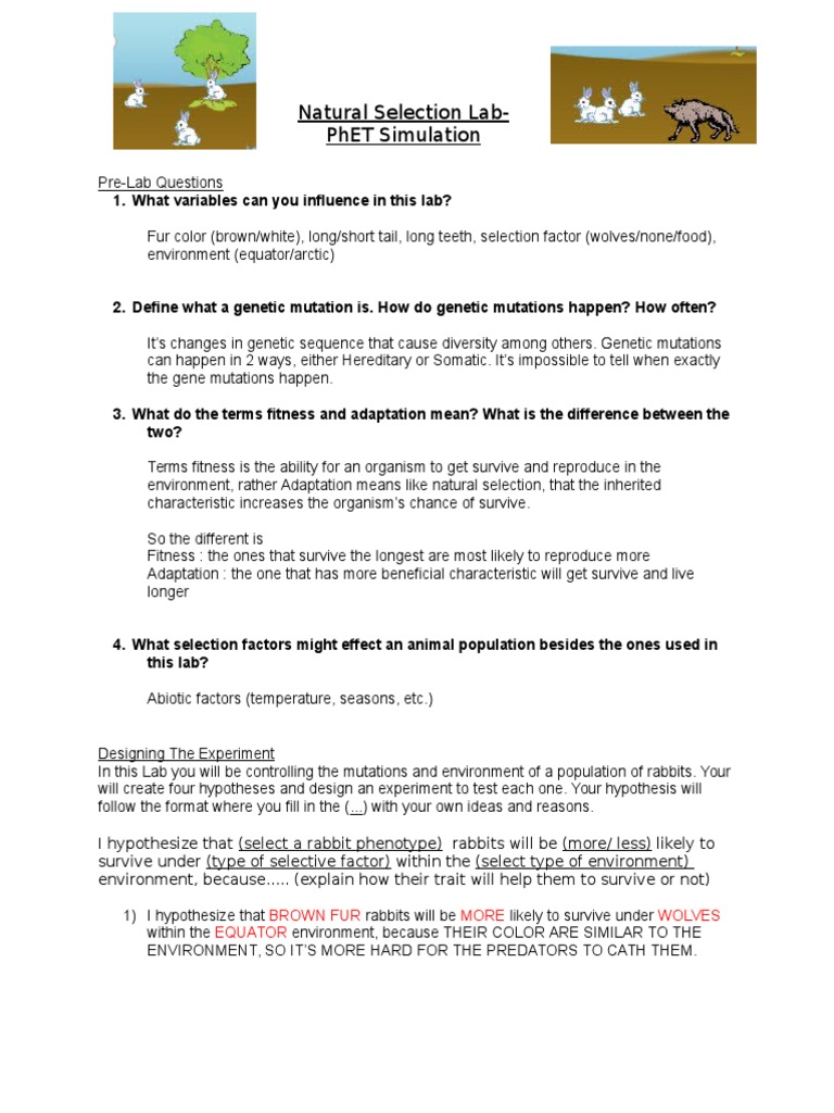 Natural Selection Lab-Peht Simulation | PDF | Natural Selection ...