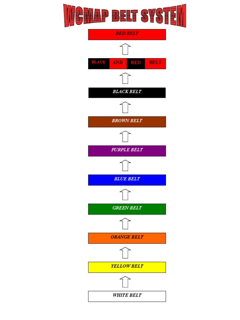 Martial Arts Belt Colors | PDF