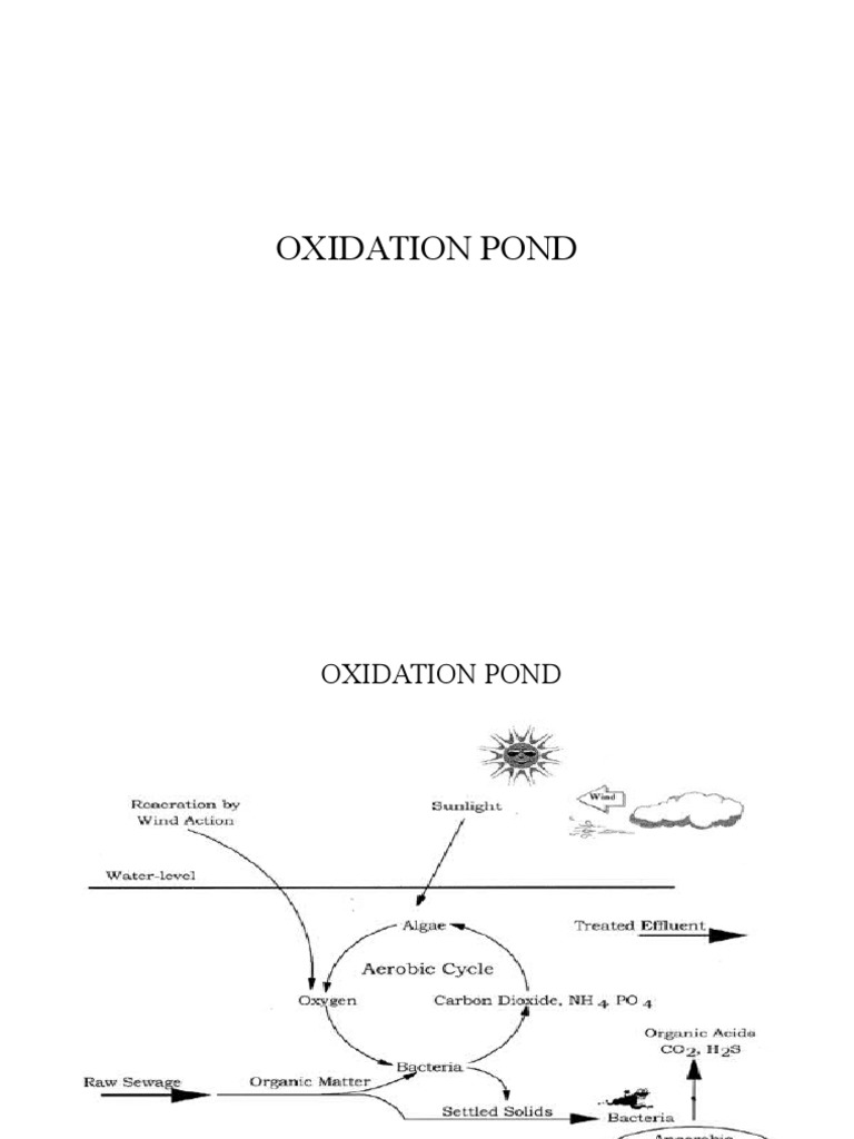 Oxidation Pond | Sewage Treatment | Pond