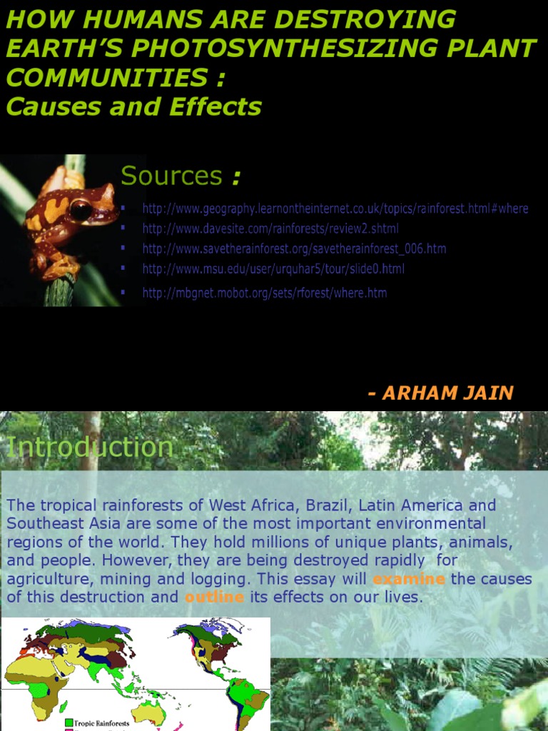 Rainforest Destruction Impact | PDF