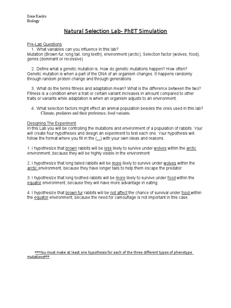 Phet Natural Selection | PDF | Natural Selection | Dominance (Genetics)