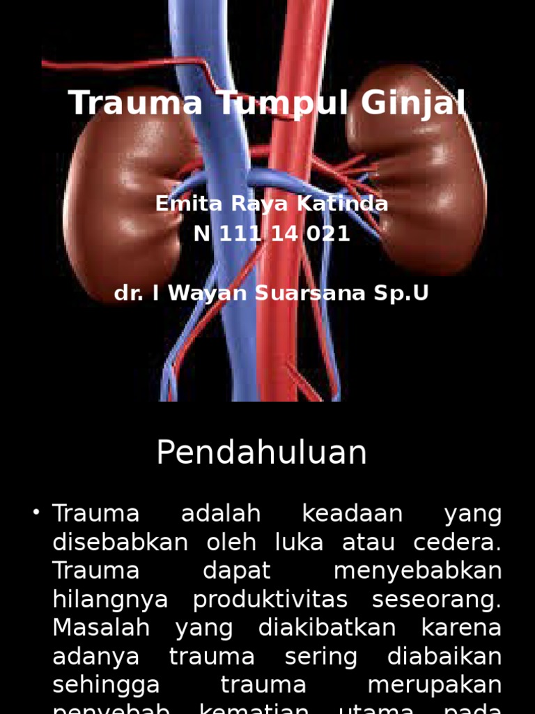 Trauma Tumpul Ginjal | PDF