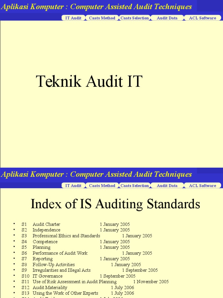 Computer Assisted Audit Techniques (CAATs) Guide | PDF | Sampling ...
