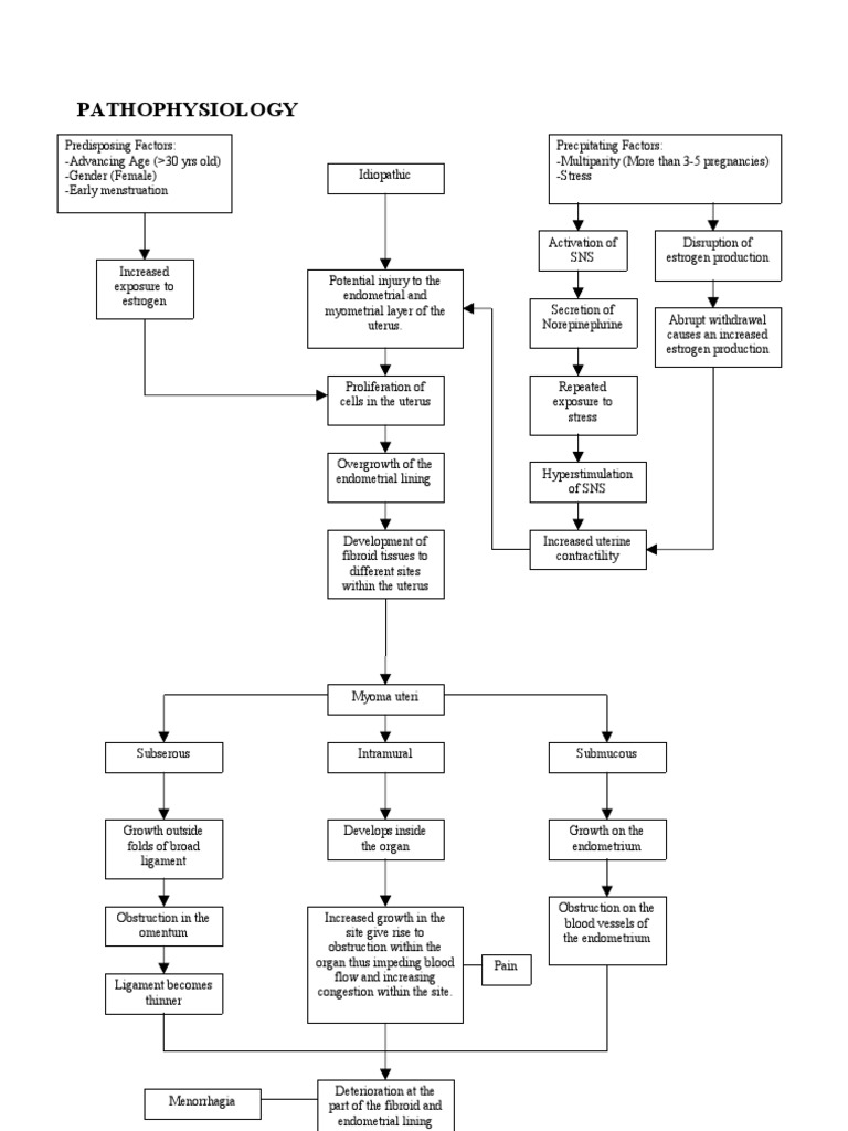 PATHOPHYSIOLOGY Myoma | PDF | Uterus | Clinical Medicine