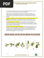 Fruto y Semilla | PDF | Plantas de jardín | Fruta