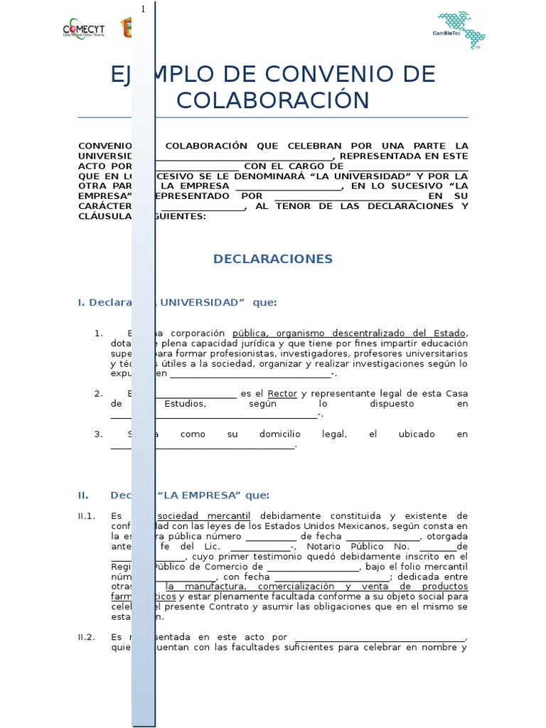 Ejemplo De Convenio De Colaboración Pdf Liquidación Patentar
