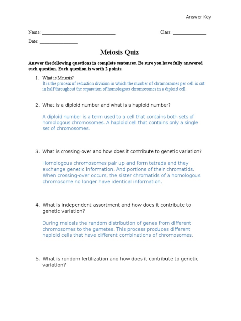 Meiosis Quiz Answer Key | PDF
