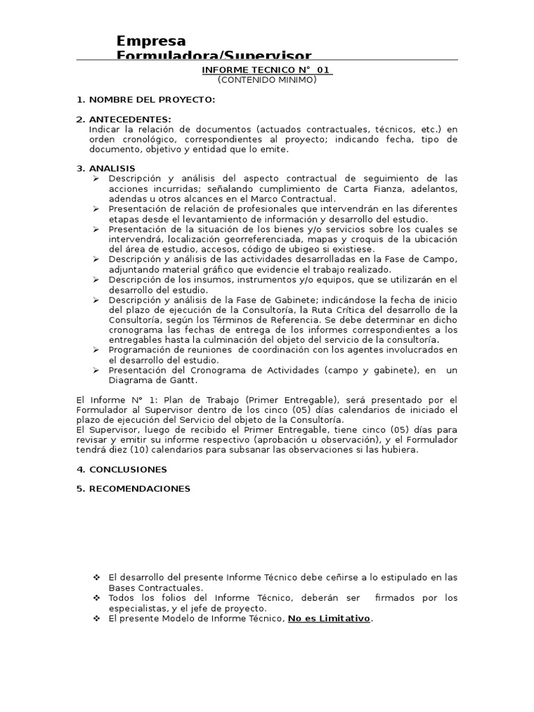 Modelo de Informe - Plan de Trabajo | PDF