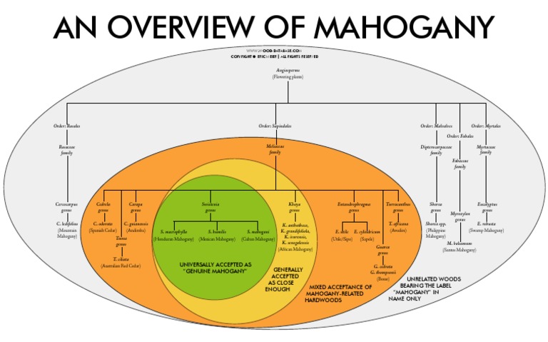 Mahogany Families | PDF
