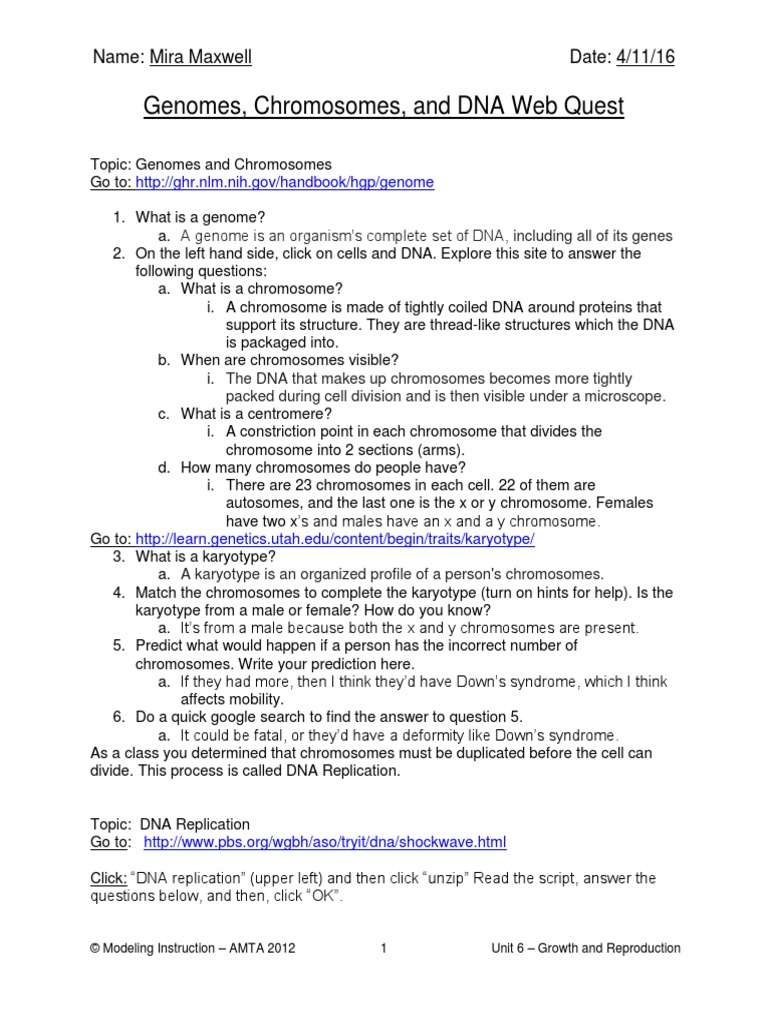 03 Genome Chromosome and Dna Webquest 1 | PDF | Karyotype | Chromosome