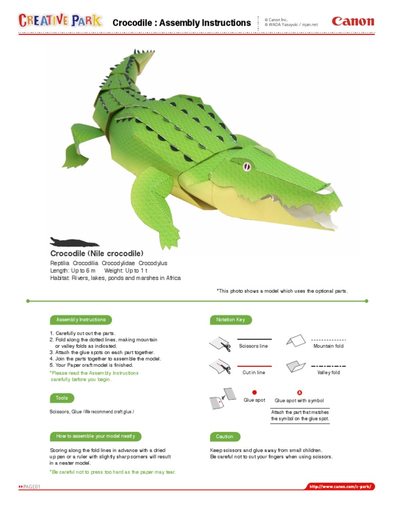 Crocodile: Assembly Instructions | PDF | Nature