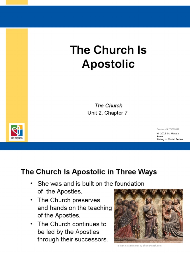 The Church Is Apostolic | Download Free PDF | Catholic Church | Jesus