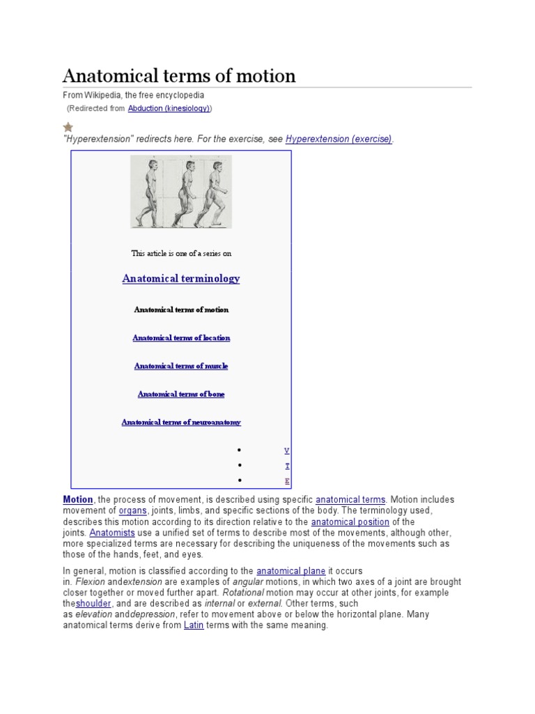 Anatomical Terms of Motion | PDF | Anatomical Terms Of Motion | Musculoskeletal System