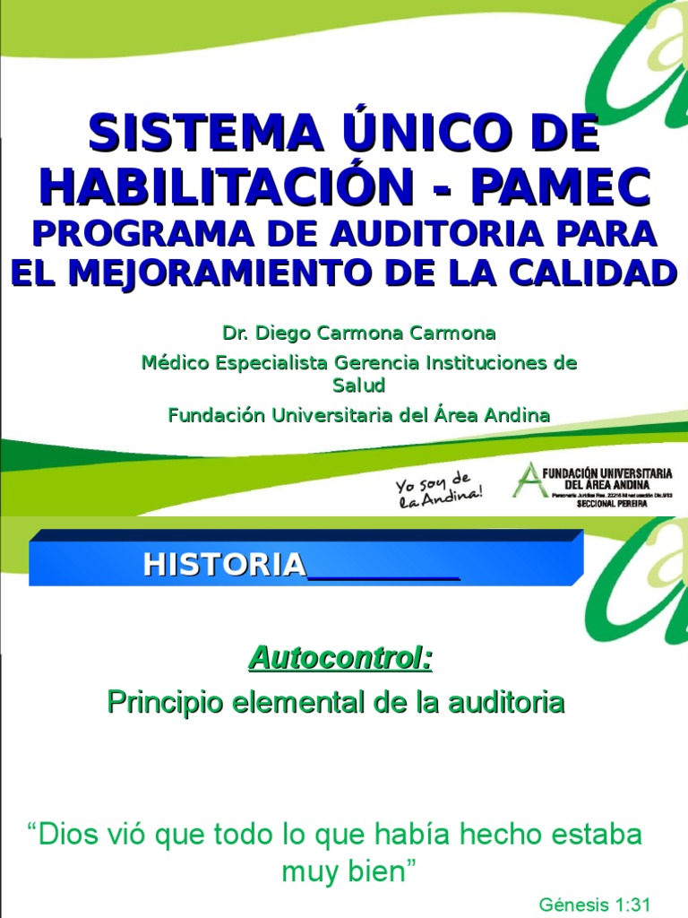 PAMEC | PDF | Calidad (comercial) | Auditoría
