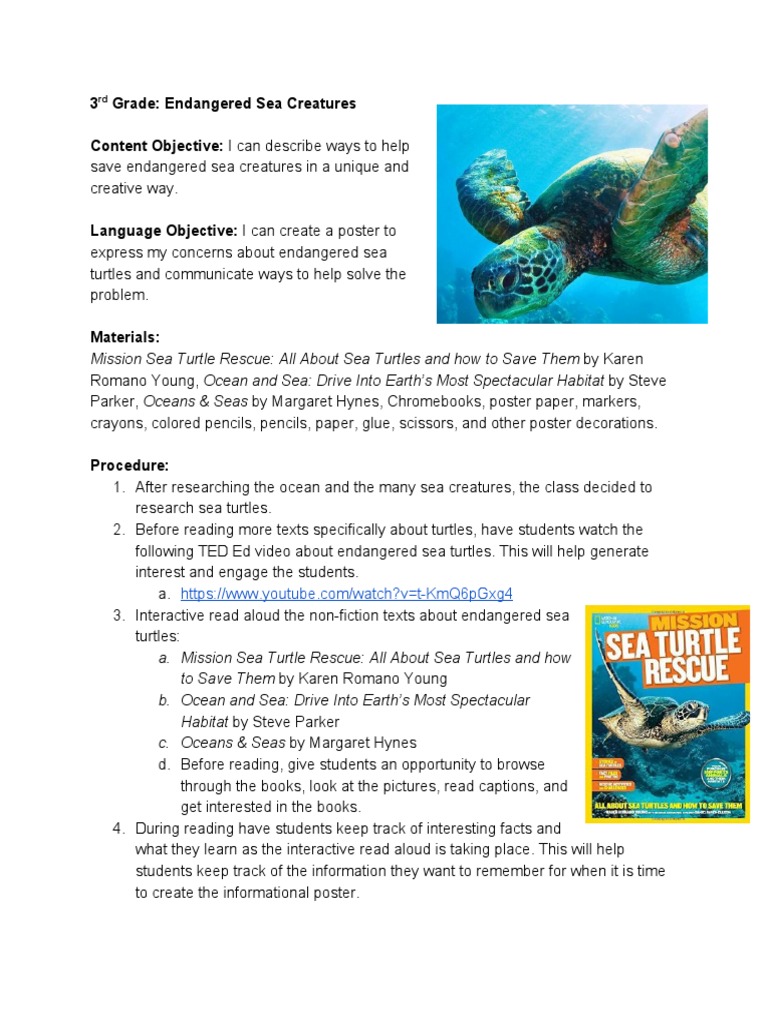 Save Endangered Sea Turtles Project | PDF