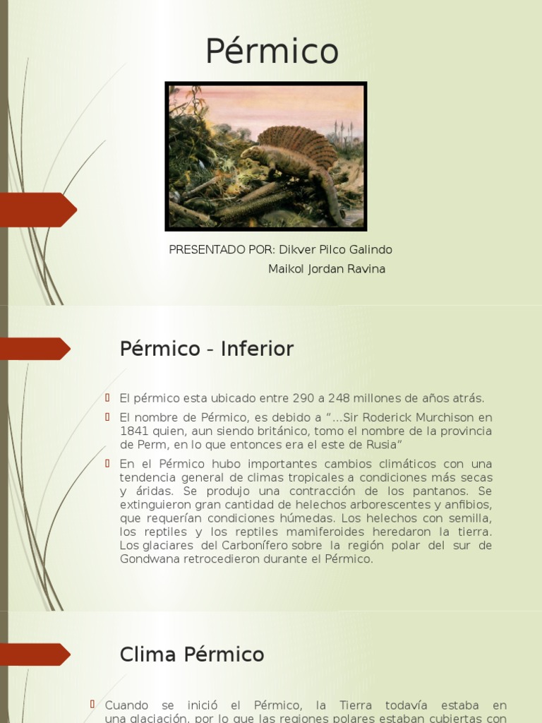 Pérmico | Descargar gratis PDF | Ciencias de la Tierra | Science