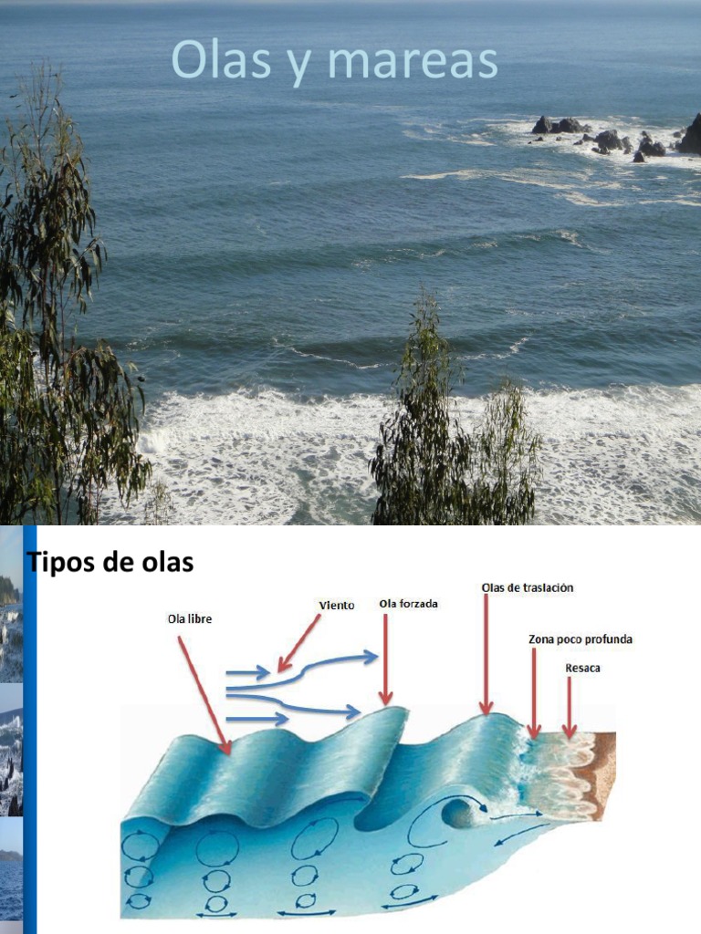 Guía de Olas y Mareas | PDF | Marea | Velocidad del viento