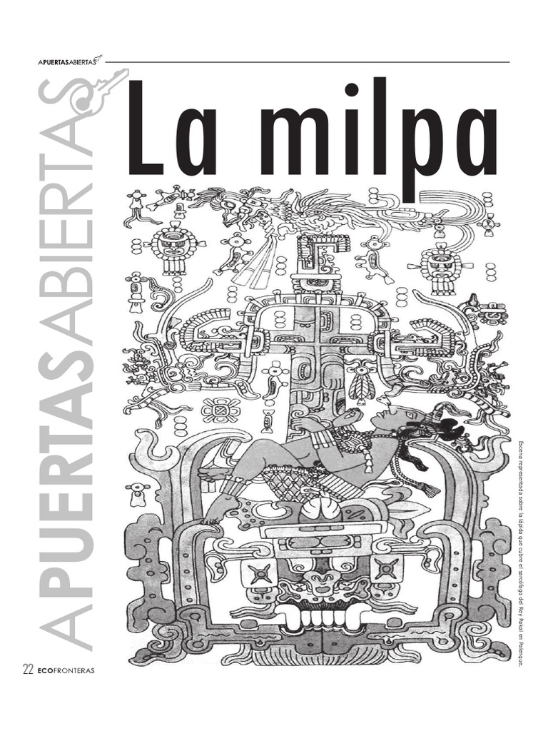 La Milpa | PDF | Civilización maya | Maíz