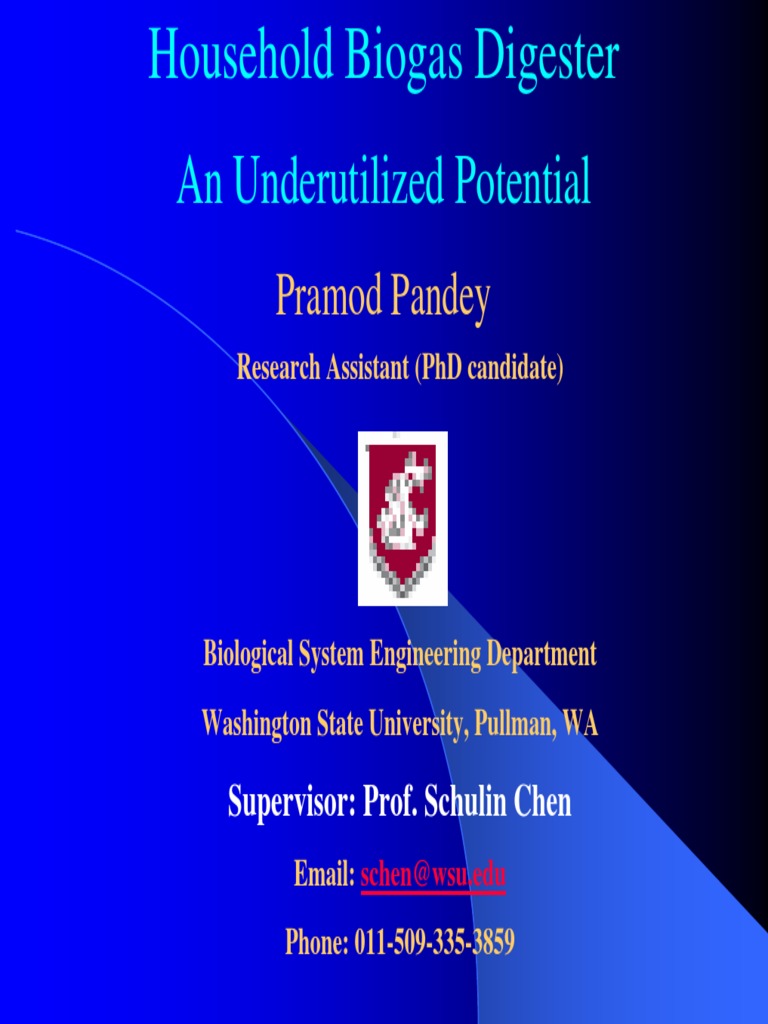 Small Scale Biogas Digester | PDF | Biogas | Physical Universe